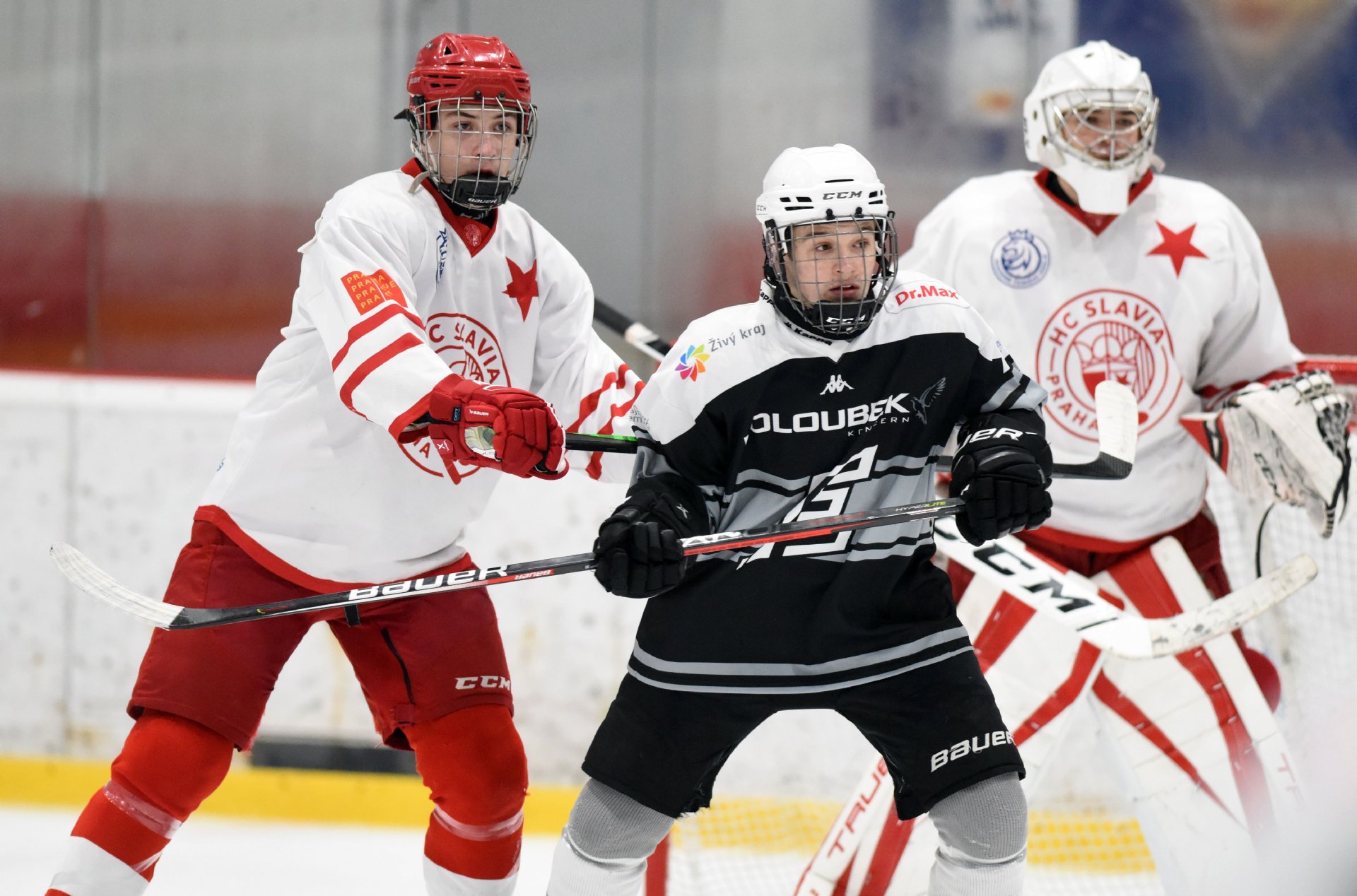 HC Slavia Praha | Reportáž ze zápasu: Karlovy Vary - Slavia 5:3 ...